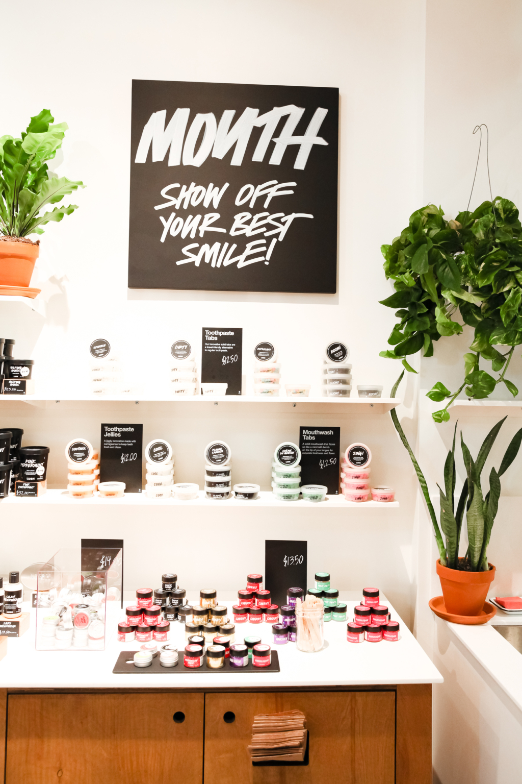 A Peek Inside | Lush Opens At Saddle Creek! - Saddle Creek