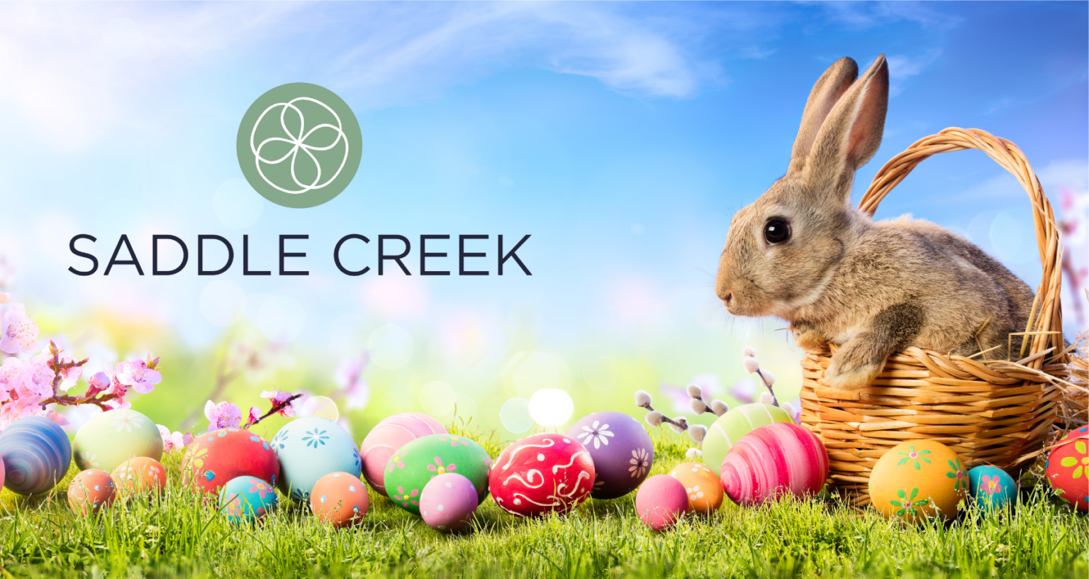 Easter Bunny Photos - Saddle Creek